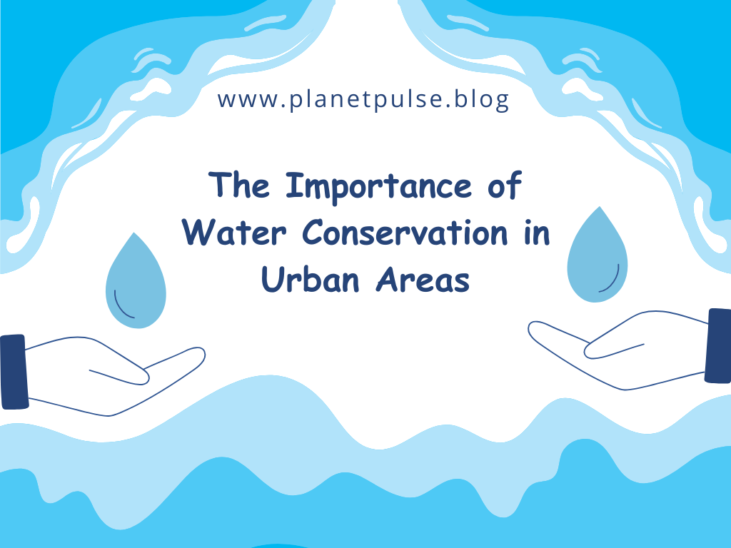 The Importance of Water Conservation in Urban Areas – Planet Pulse