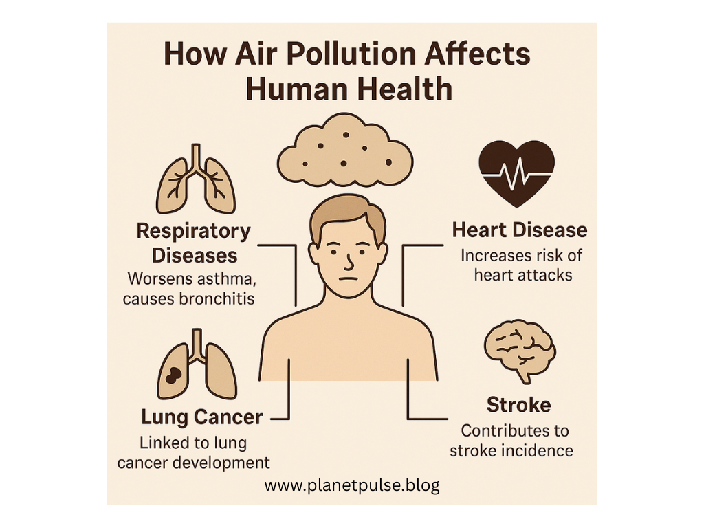 How Climate Change Impacts Human Health – Planet Pulse