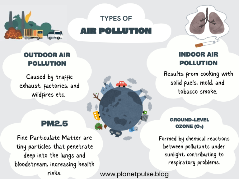 The Connection Between Air Pollution and Human Health (World Health Day ...