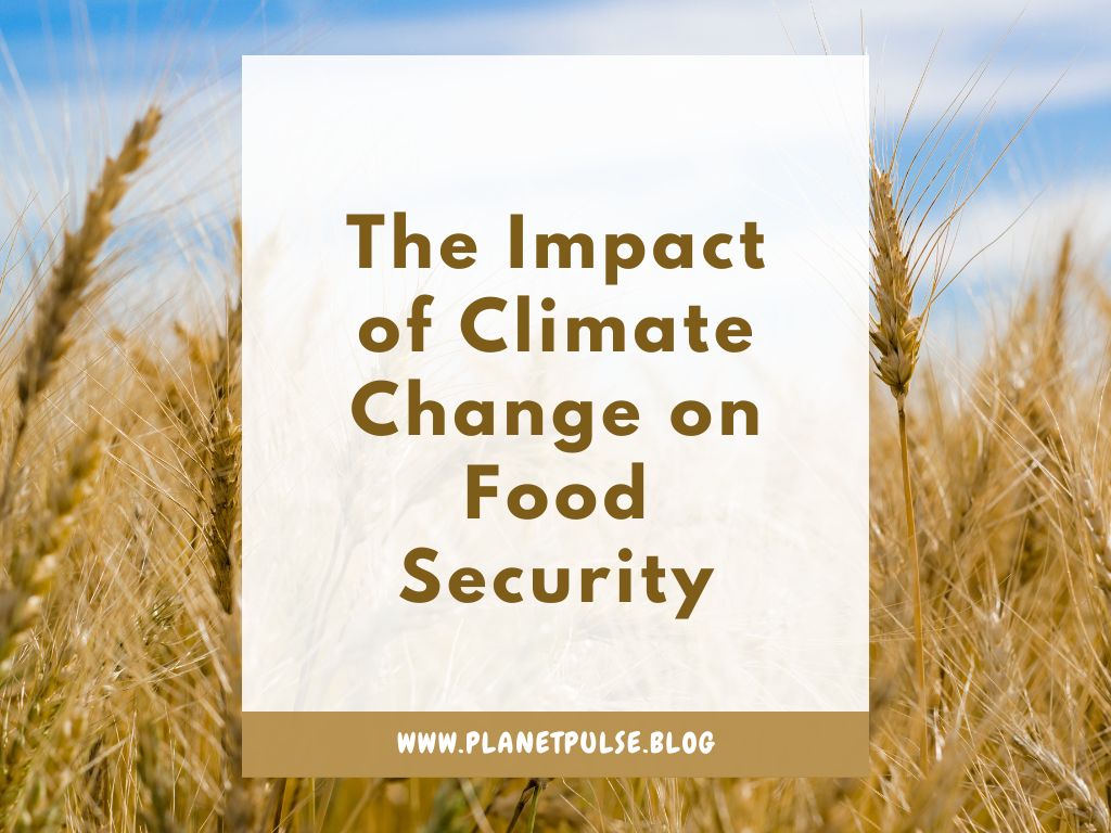 The Environmental Consequences of Overconsumption – Planet Pulse