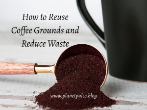 How to Reuse Coffee Grounds and Reduce Waste – Planet Pulse
