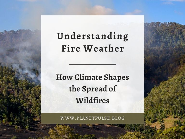 Understanding Fire Weather: How Climate Shapes the Spread of Wildfires ...