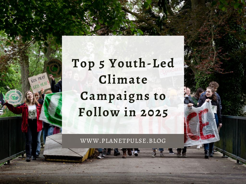 Top 5 Youth-Led Climate Campaigns to Follow in 2025 – Planet Pulse