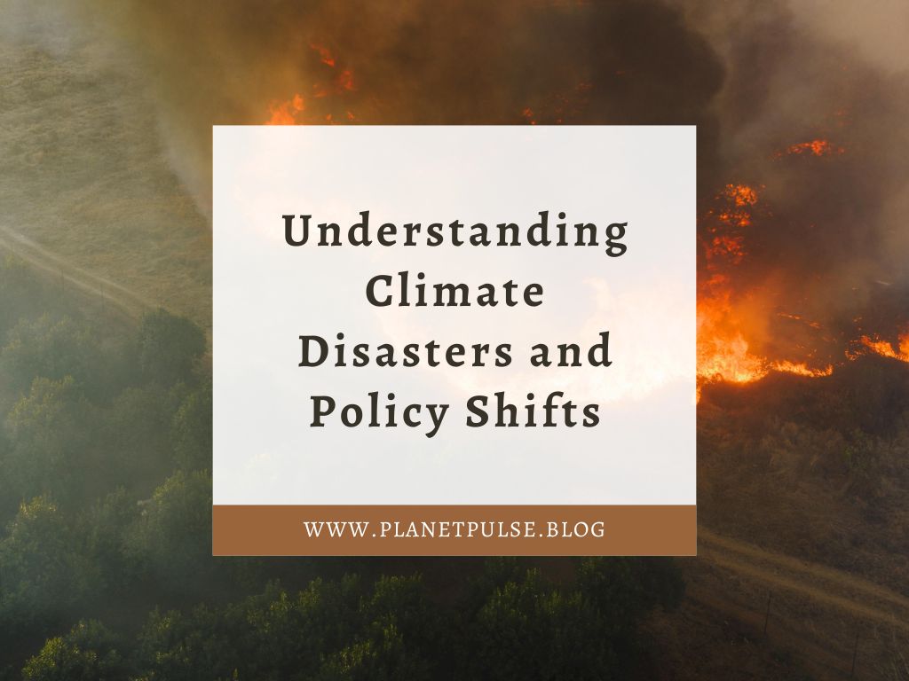 Understanding Climate Disasters and Policy Shifts – Planet Pulse