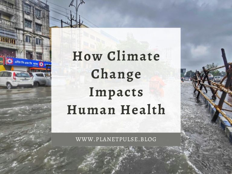 How Climate Change Impacts Human Health – Planet Pulse