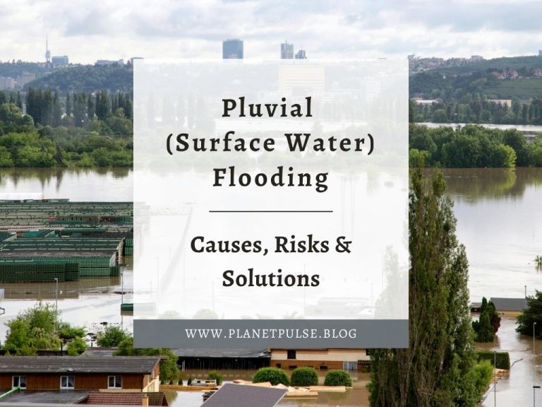 Pluvial (Surface Water ) Flooding: Causes, Risks & Solutions – Planet Pulse